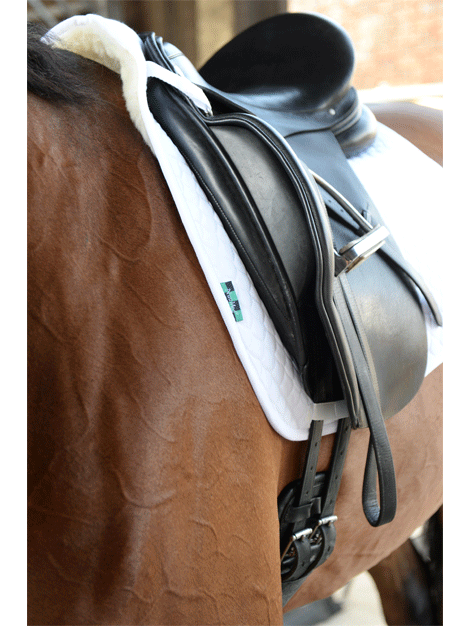 Dressage – Chobham Rider
