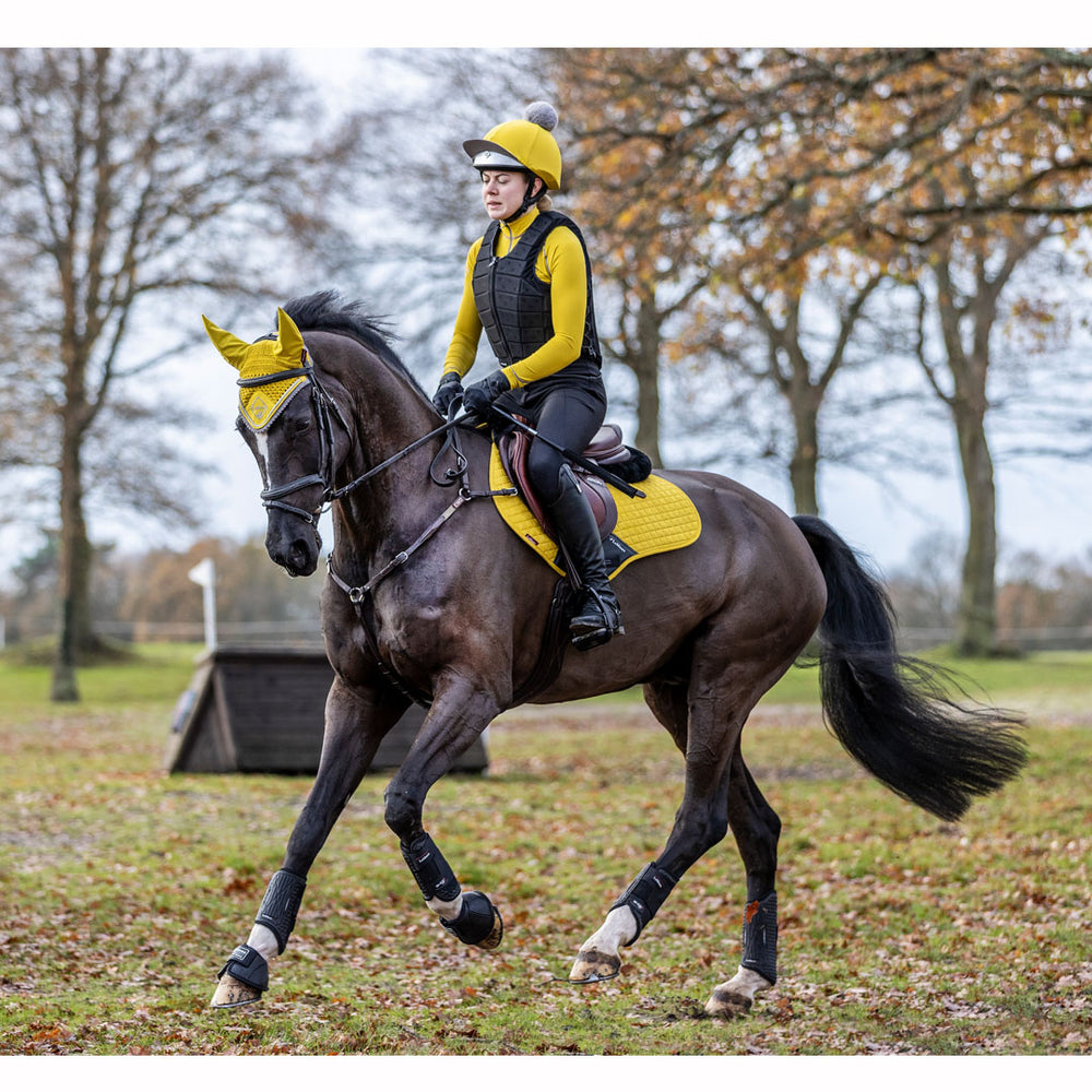 Collections – Page 5 – Chobham Rider
