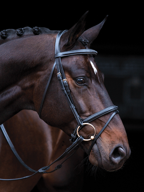 Horse / Saddlery / Bridles – Chobham Rider