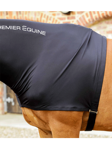 Premier Equine Stretch Lycra Hood - Chobham Rider