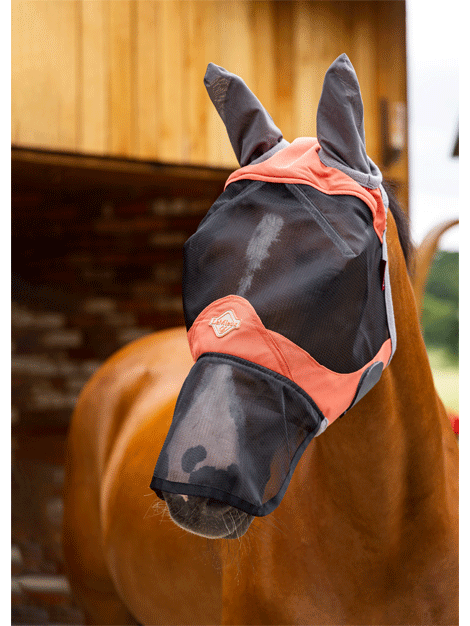 Visor - Tek Full Fly Mask - Chobham Rider